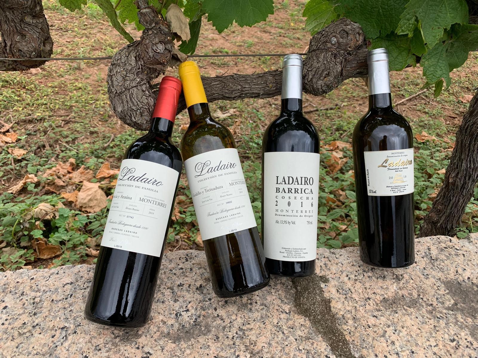 Bodegas Ladairo, historia viva de Monterrei